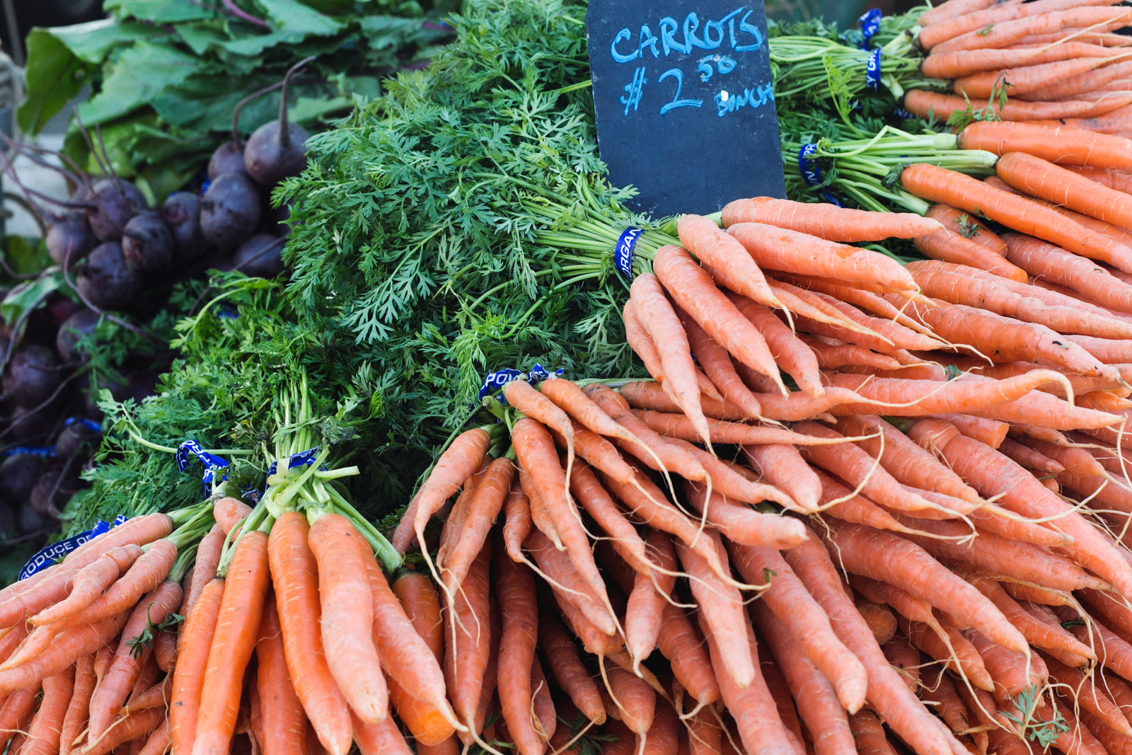 Harvest Boxes – Broadview Organics